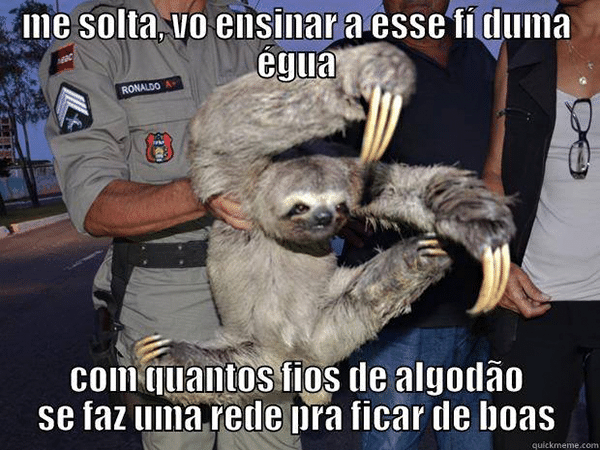 Memes 'tapas na cara' - Imagens que fazem refletir - Notícias - BOL