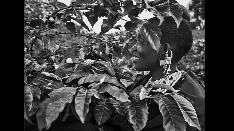 As histórias por trás de fotos e séries de Sebastião Salgado - Listas - BOL