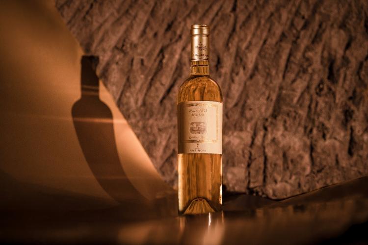 Vinho mofado é raridade que faz sucesso entre os apaixonados pela ...