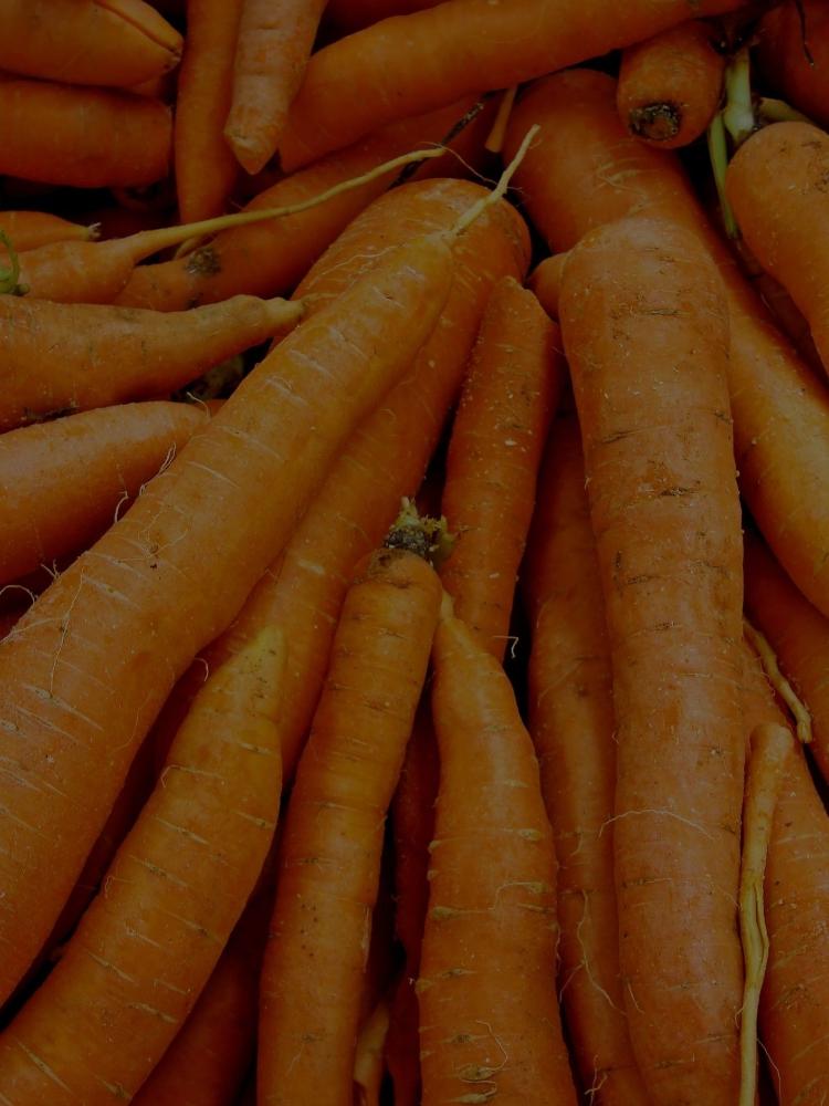 Benefícios da cenoura à saúde: Melhora bronzeado e aumenta resistência