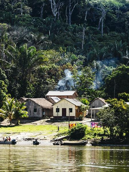 Dois livros para entender como o genocídio yanomami foi planejado - 23 ...
