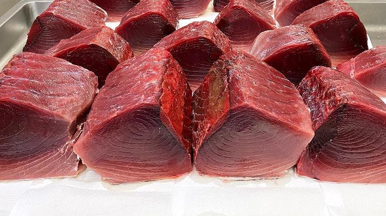 Chamado de boi do mar, atum pode ser todo aproveitado e rende até ...