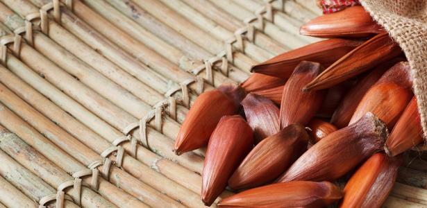 Pinhão: conheça 7 benefícios e como consumir