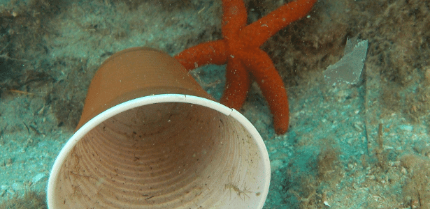 Delivery de alimentos gerou 46% a mais de lixo plástico na pandemia ...
