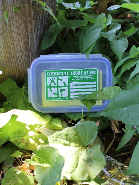 Geocaching: por que turistas estão trocando roteiros por caça ao ...