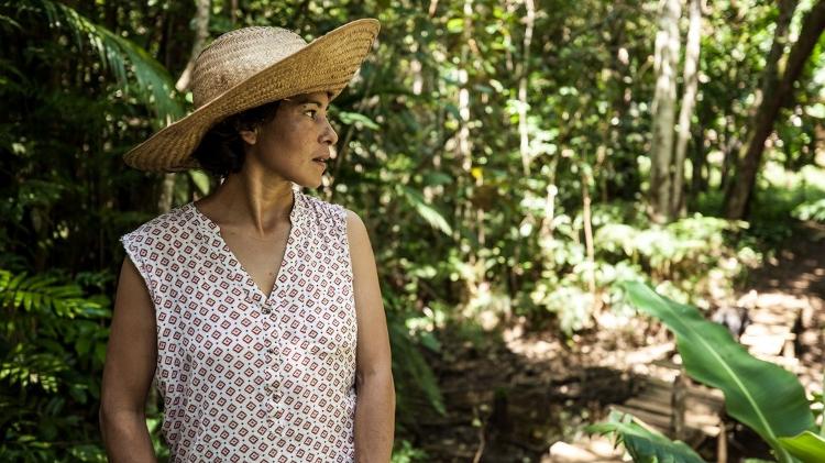 Como os guaranis de SP estão voltando a plantar seus cultivos ...