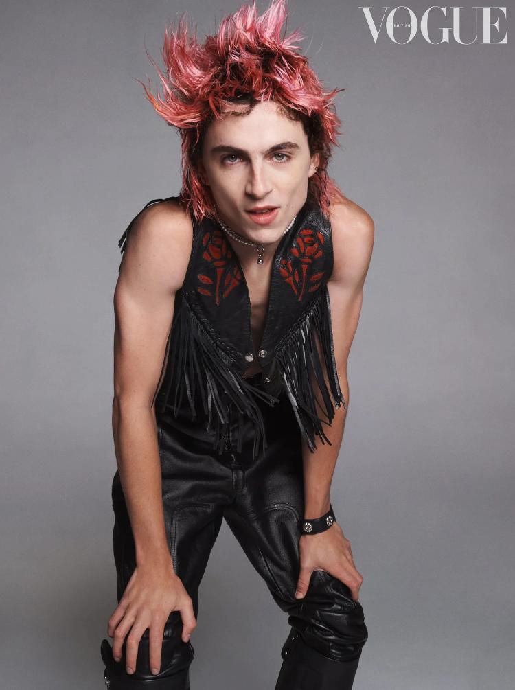 Timothee Chalamet se torna 1º homem em capa solo da Vogue britânica ...