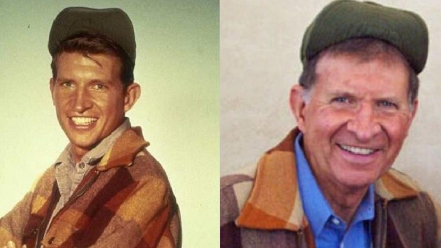 Tom Lester, ator da série 'A Família Buscapé', morre aos 81 anos nos ...