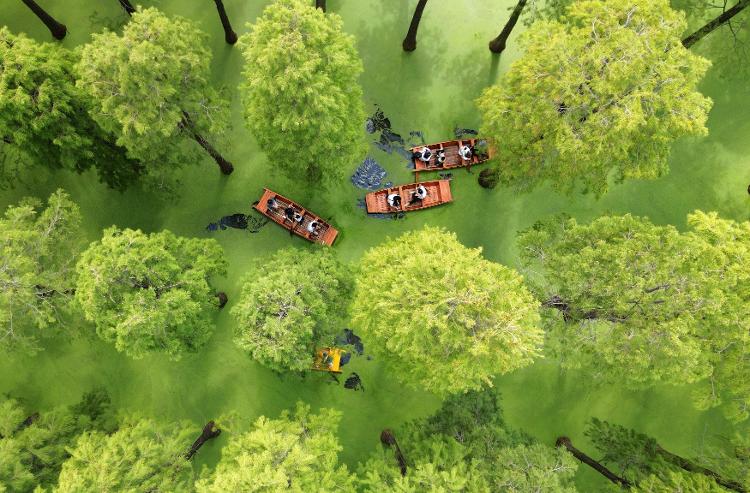Um lago tão verde que parece de mentira: que lugar é esse?