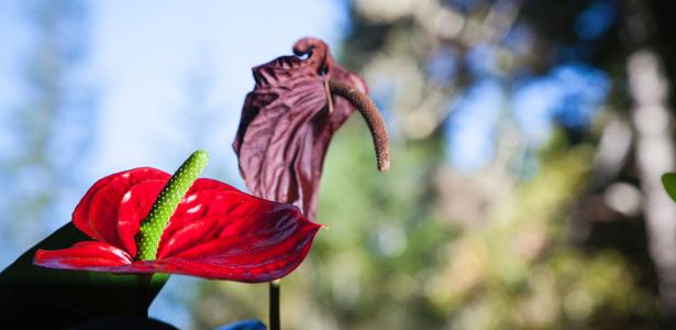 Brochar é normal: o que fazer para deixar a situação menos ...