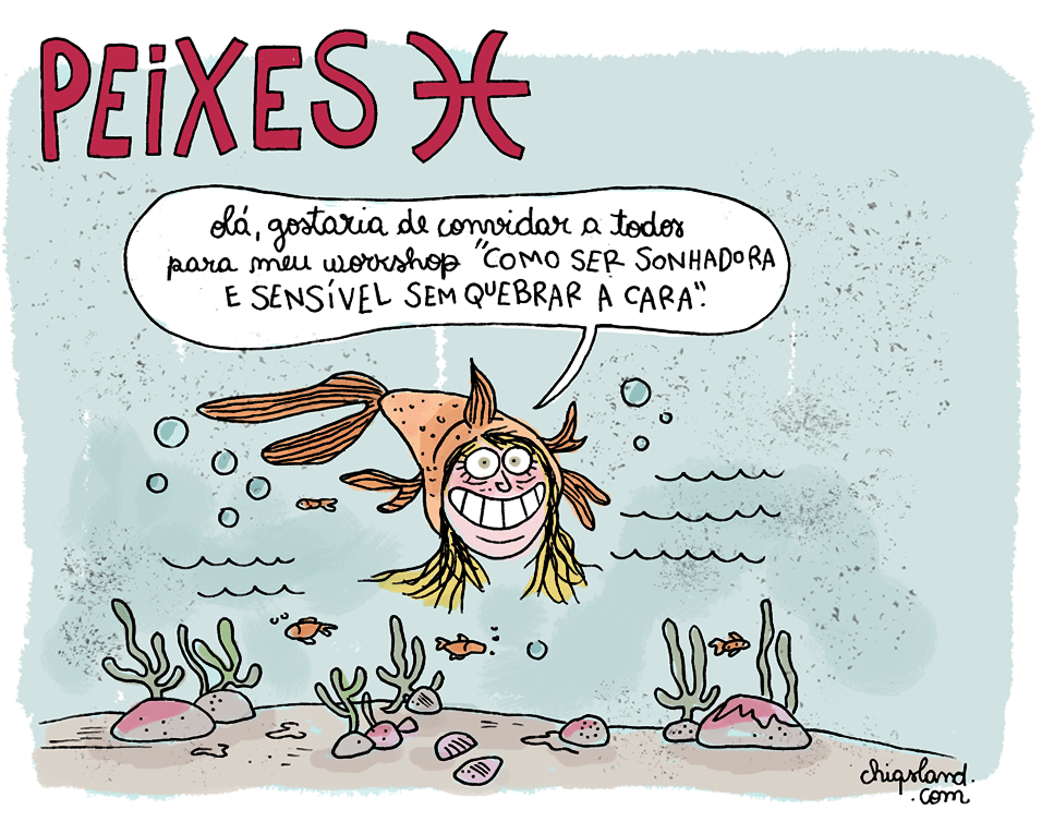 Fotos: Charges tiram onda das características mais marcantes de cada ...