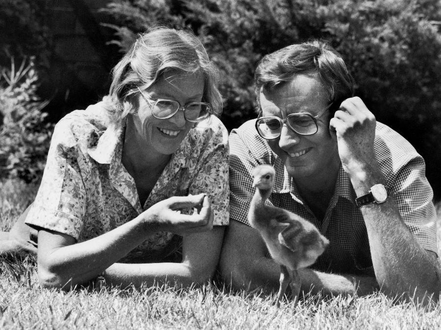 Fizeram História: Joan Root