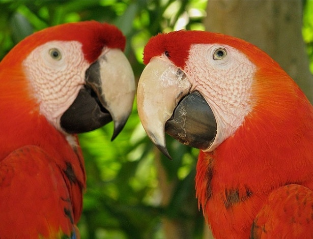 Cancún - Fotos - UOL Viagem