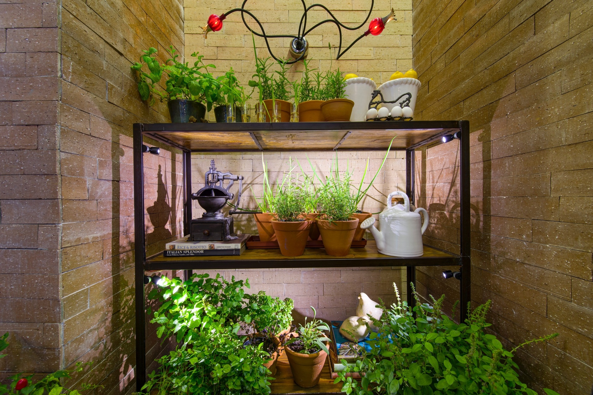 Fotos: Veja espécies para cultivar e diversos tipos de hortas na ...