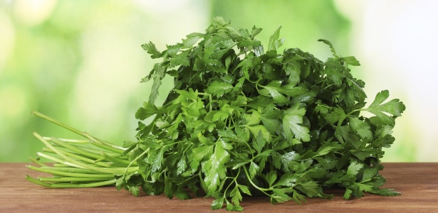 Não confunda salsa com coentro! Aprenda como usar ervas para temperar ...