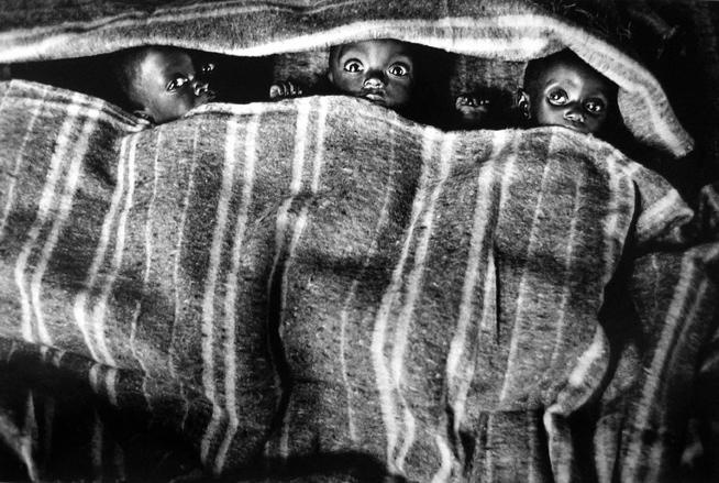 Sebastião e Juliano Salgado contam que "O Sal da Terra" os aproximou ...