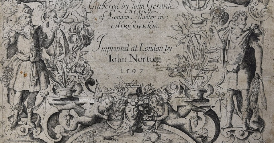 Livro do século 16 traz o que seria primeiro retrato autêntico de ...