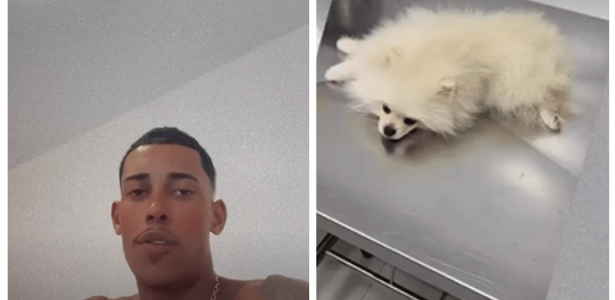 MC Poze leva cachorro ao veterinário após comer maconha