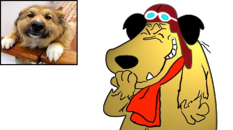 Bidu, Garfield e Pluto: veja as raças dos pets mais famosos da cultura ...