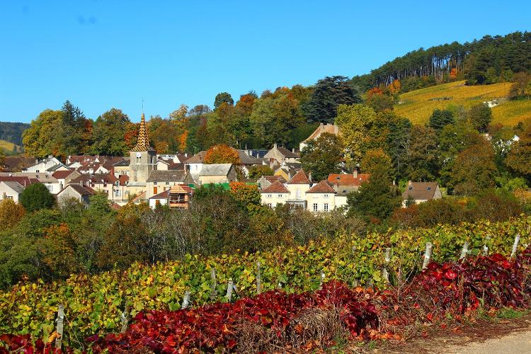 Região de Borgonha, na França, ganhará museu do vinho e da gastronomia