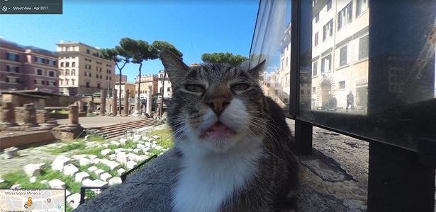 Gatinho vira estrela de imagens do Google Street View em ruínas de Roma ...