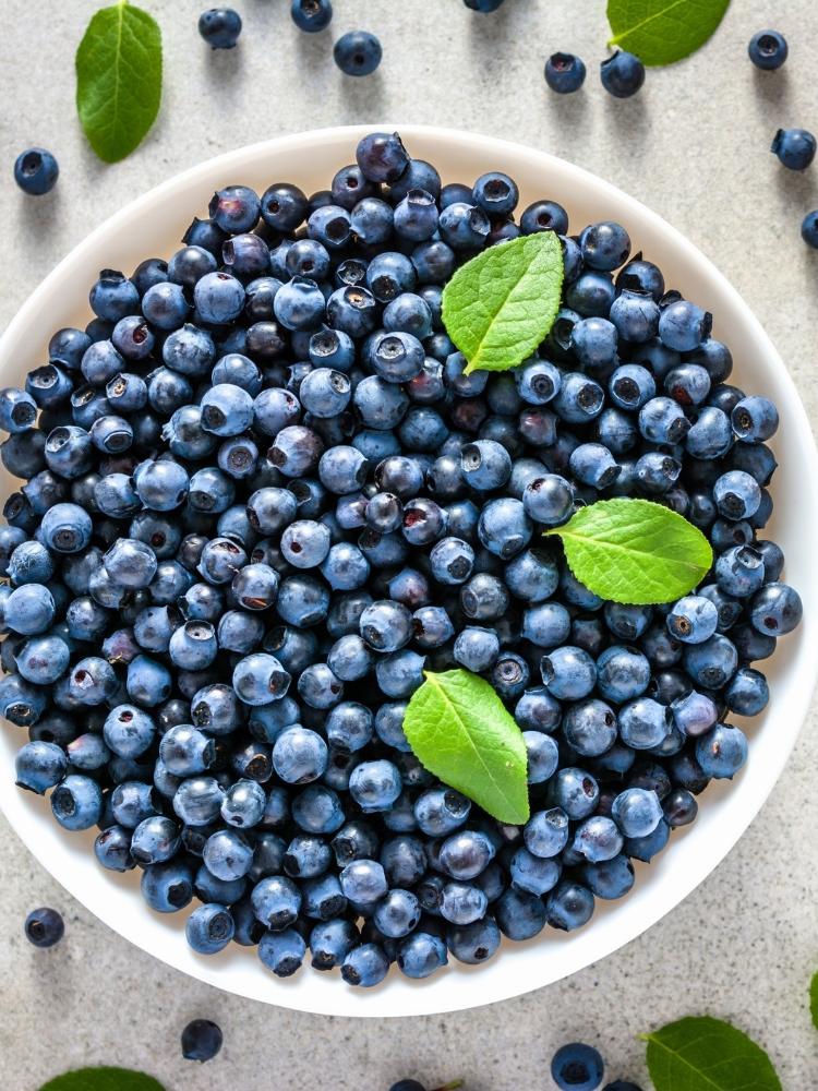 Combate infecção urinária, controla diabetes: os benefícios do mirtilo