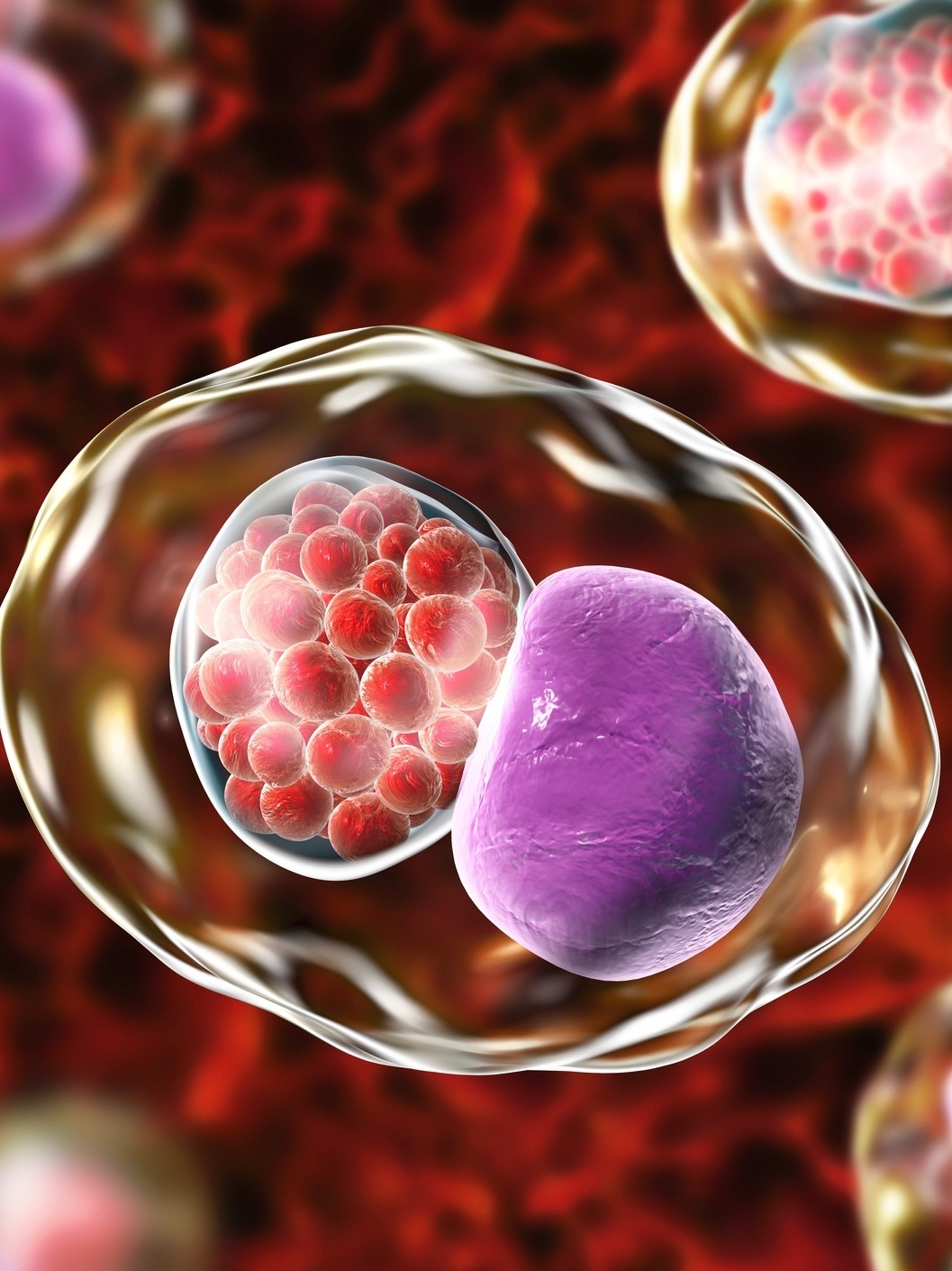 Infeccao Bacteriana Vaginal Por Clamidia