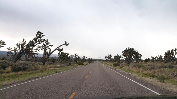 Rota 66: como é viajar na estrada mais famosa do mundo