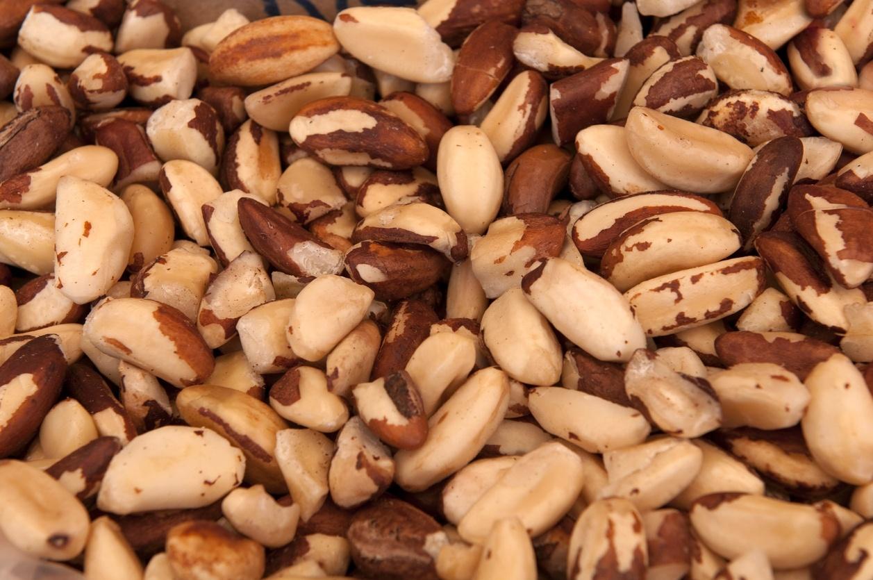 Fotos: Castanhas: compare suas calorias e conheça seus benefícios - 18 ...