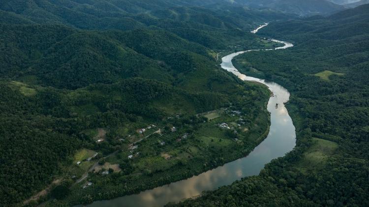 Conhecimento ancestral: como plantio que segue a Lua tem dado lucro em SP - 06/09/2022 - UOL ECOA