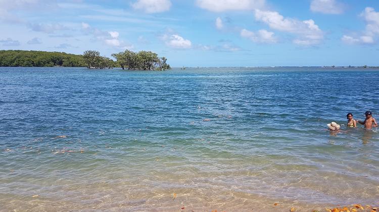Ilha de Boipeba tem praias lindas, sossego e caipirinha no cacau - 08 ...