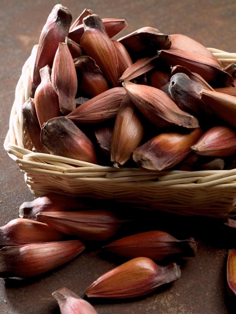 Baixa a pressão arterial, dá energia: os benefícios do pinhão