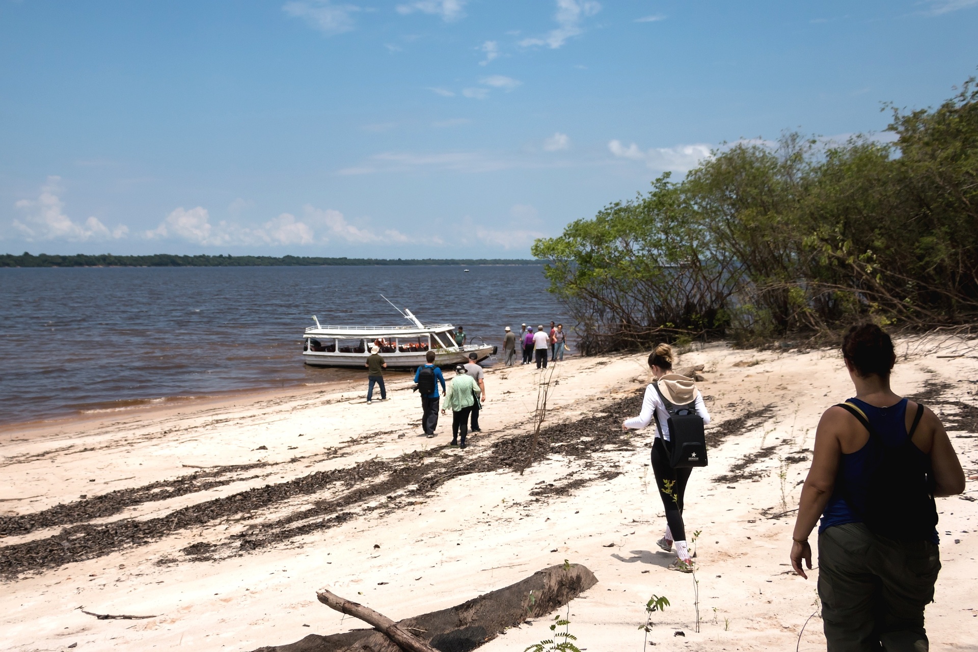 Fotos: Tour pela Amazônia tem encontro de rios, com jacarés e ...