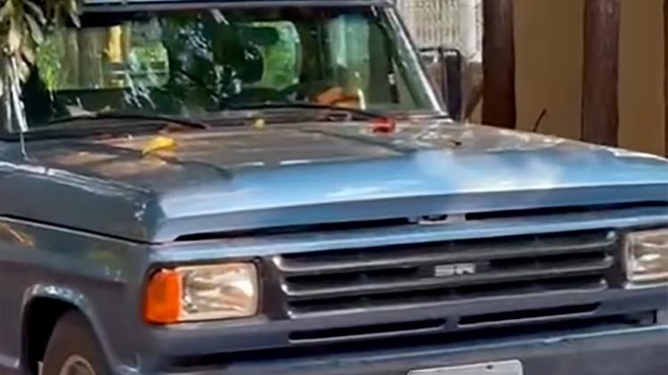 De Citroën raro a picape com 1 milhão de km: veja xodós de Lima Duarte