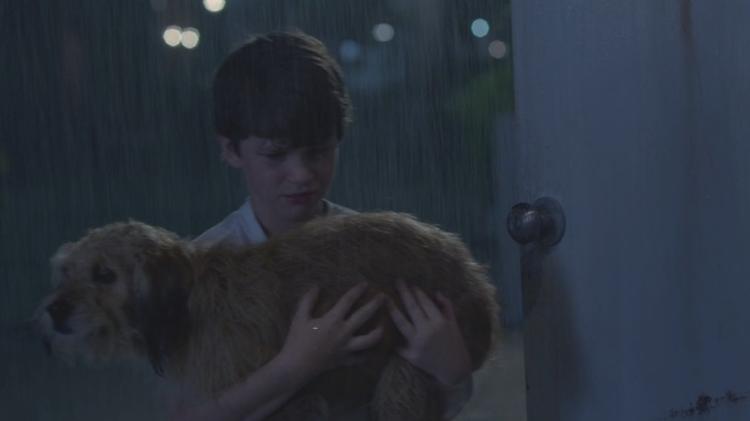 Prepare o lenço: 5 momentos do novo "Benji" que vão te fazer lacrimejar ...