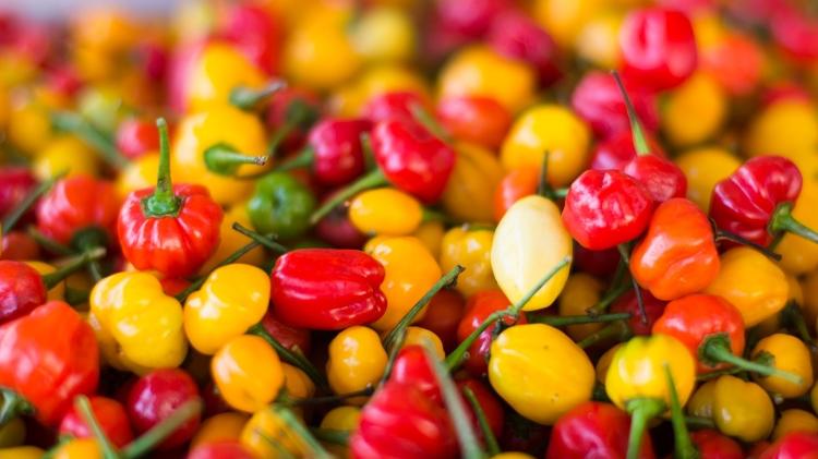 Pimenta para todos os gostos: veja as mais comuns e em quais pratos usá ...