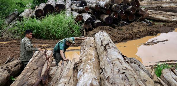 Proteção ambiental é 'pulo do gato' que o Brasil precisa