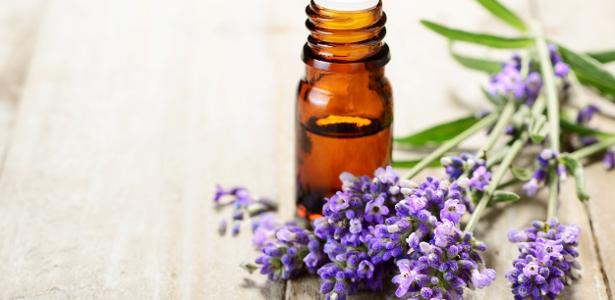 Lavanda: para que serve, como usar e efeito na insônia