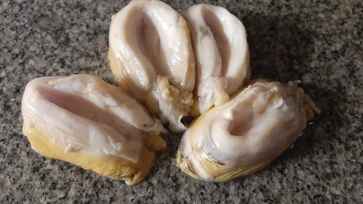 Que bicho é esse? Veja iguarias mais estranhas que crustáceos de R$ 345 ...