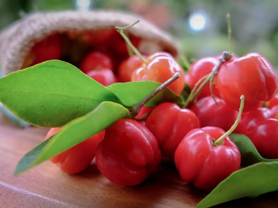 Fortalece imunidade, reduz anemia: os benefícios da acerola à saúde