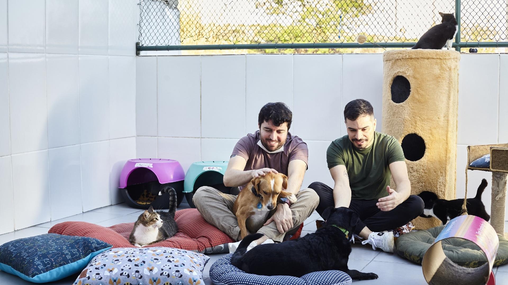 Casa do Vira Lata: Gabriel Chaves criou lar para acolher animais