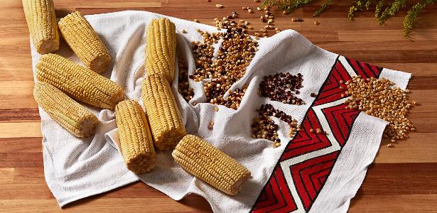 Povo krahô conseguiu recuperar milho sagrado e a alegria da aldeia