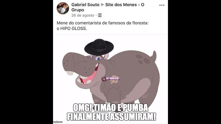Hipopótamos podem ser animais agressivos, mas em memes ficam bem ...