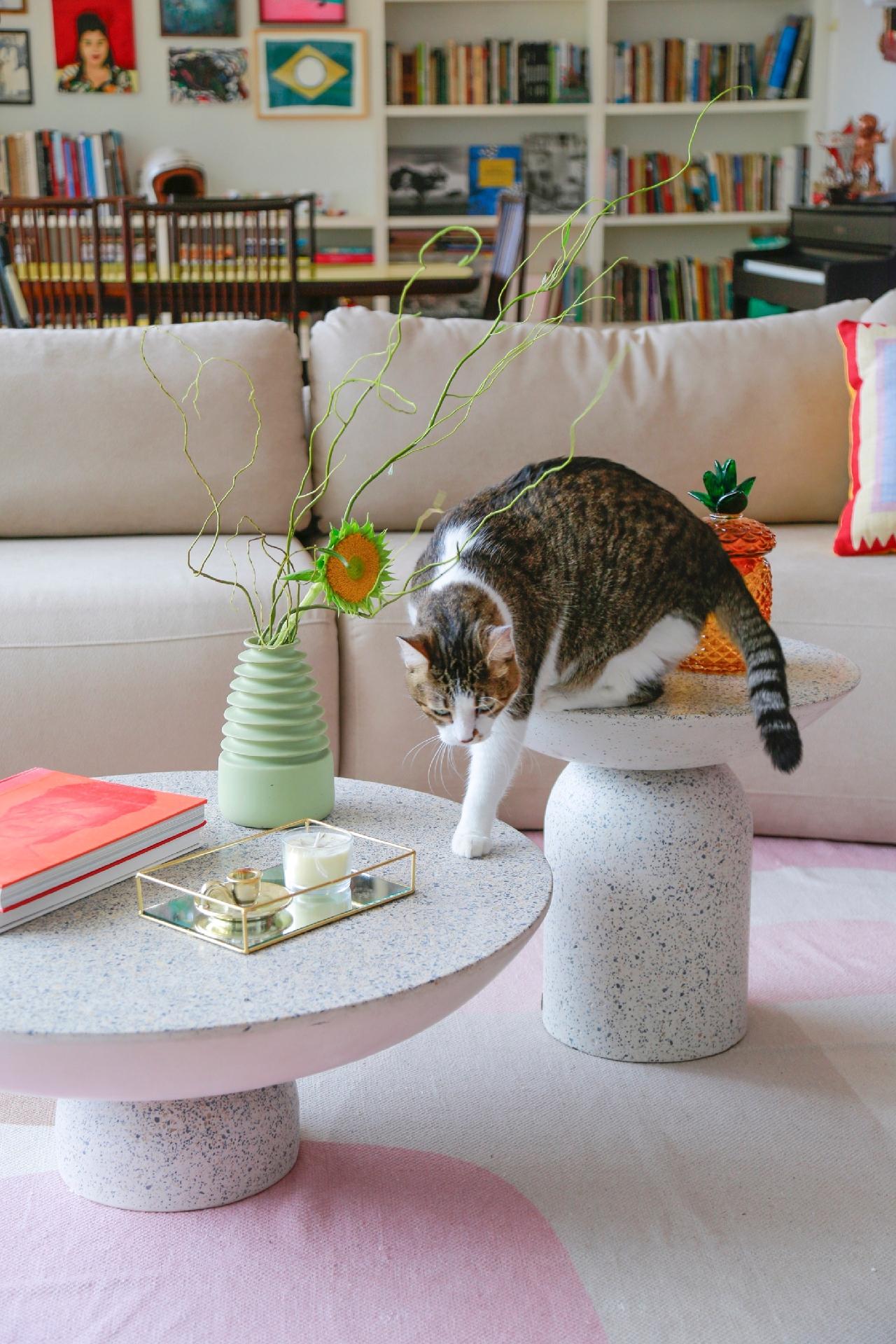 Fotos: Atriz Letícia Colin abre as portas do seu apê no Rio: 'Tudo se ...