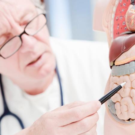 Por que é mais difícil manter a forma com o intestino preso ou ...