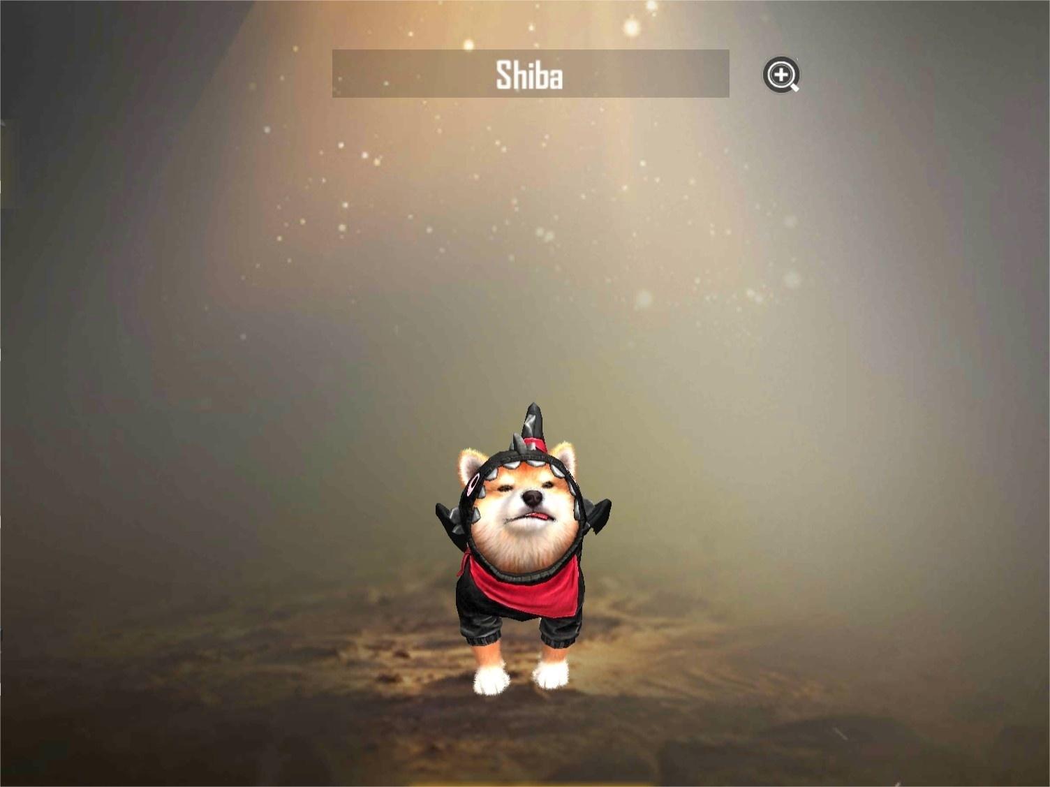 Fotos: Pets do Free Fire: do melhor ao pior - 22/08/2020 - UOL Start