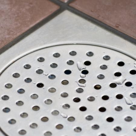 'Lista dos '4 As': as práticas comprovadas para afastar baratas de sua casa