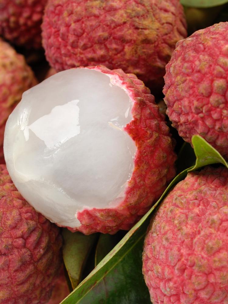 Doenças que a lichia 'cura': 11 benefícios da lichia para saúde