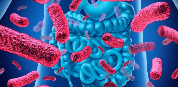 Psicobióticos podem ser aliados da sua saúde mental, mostra estudo - 10 ...