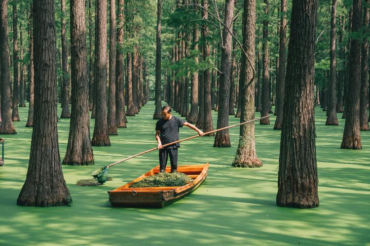 Um lago tão verde que parece de mentira: que lugar é esse?